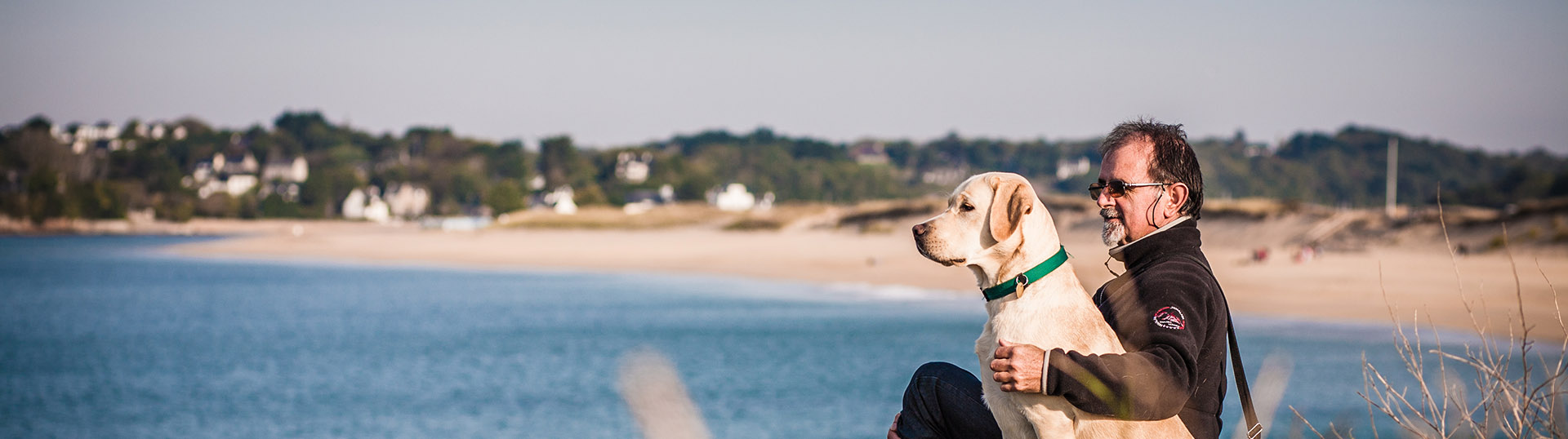 Organisation Structure - International Guide Dog Federation